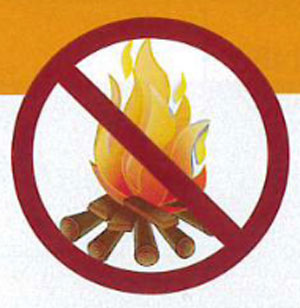 Les Feux ! - Mairie de Brionne